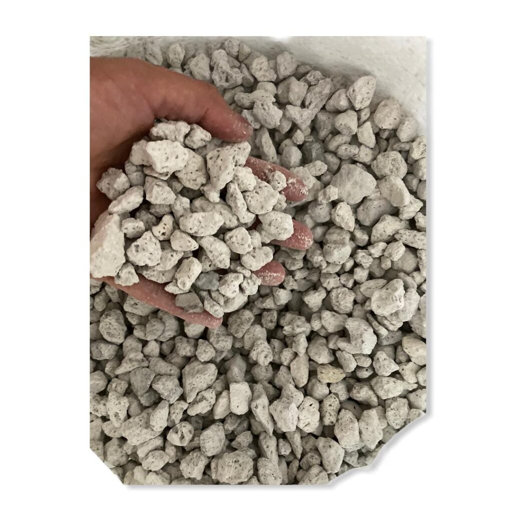 Tepojal - Orquídeas Nantli